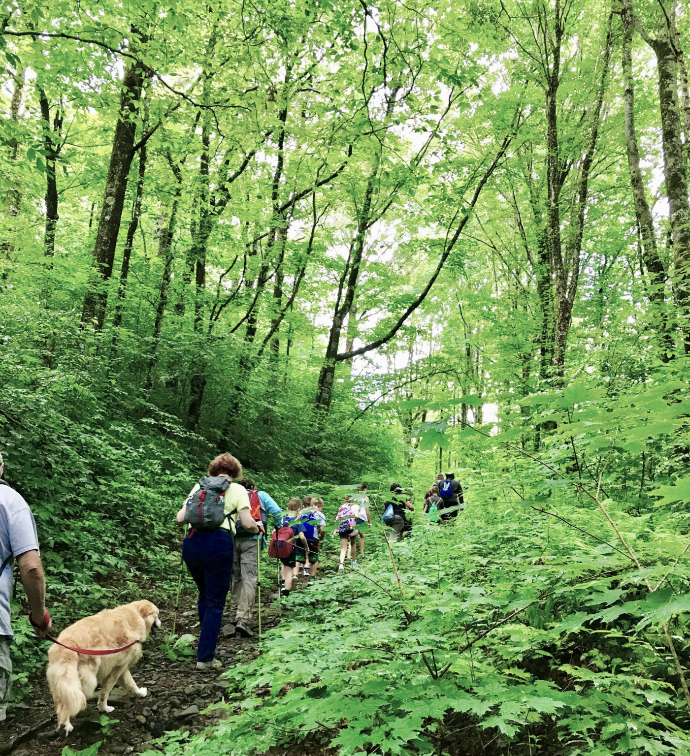 Discover the Trail - Benton MacKaye Trail Association