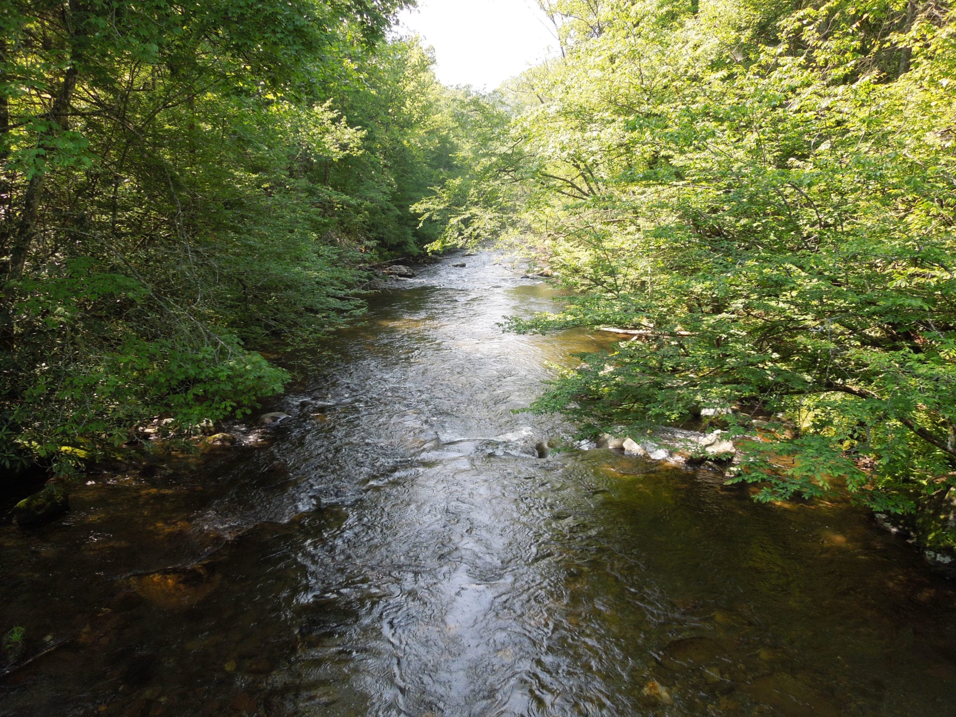 Backpacking Hikes - Benton MacKaye Trail Association