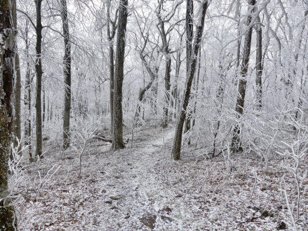 Backpacking Hikes - Benton MacKaye Trail Association