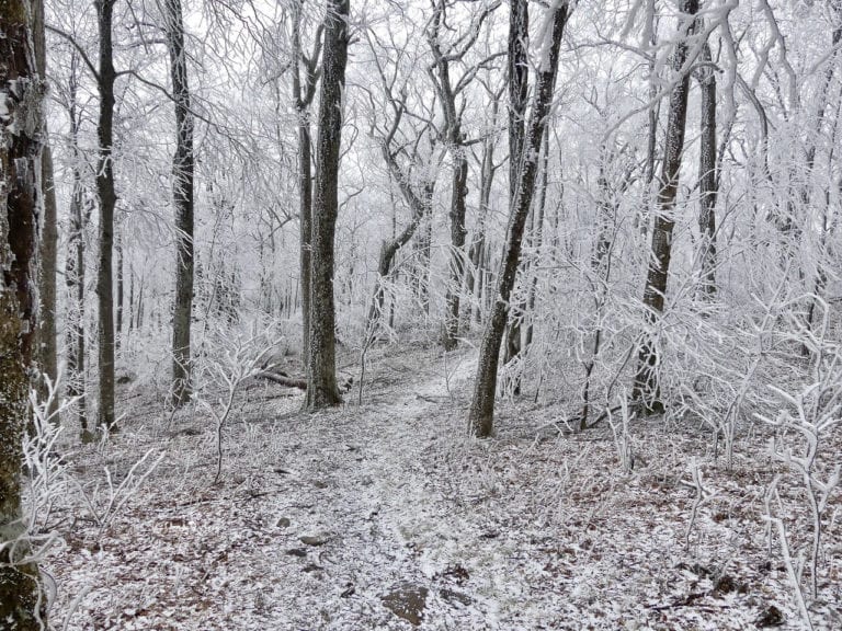 Backpacking Hikes - Benton MacKaye Trail Association