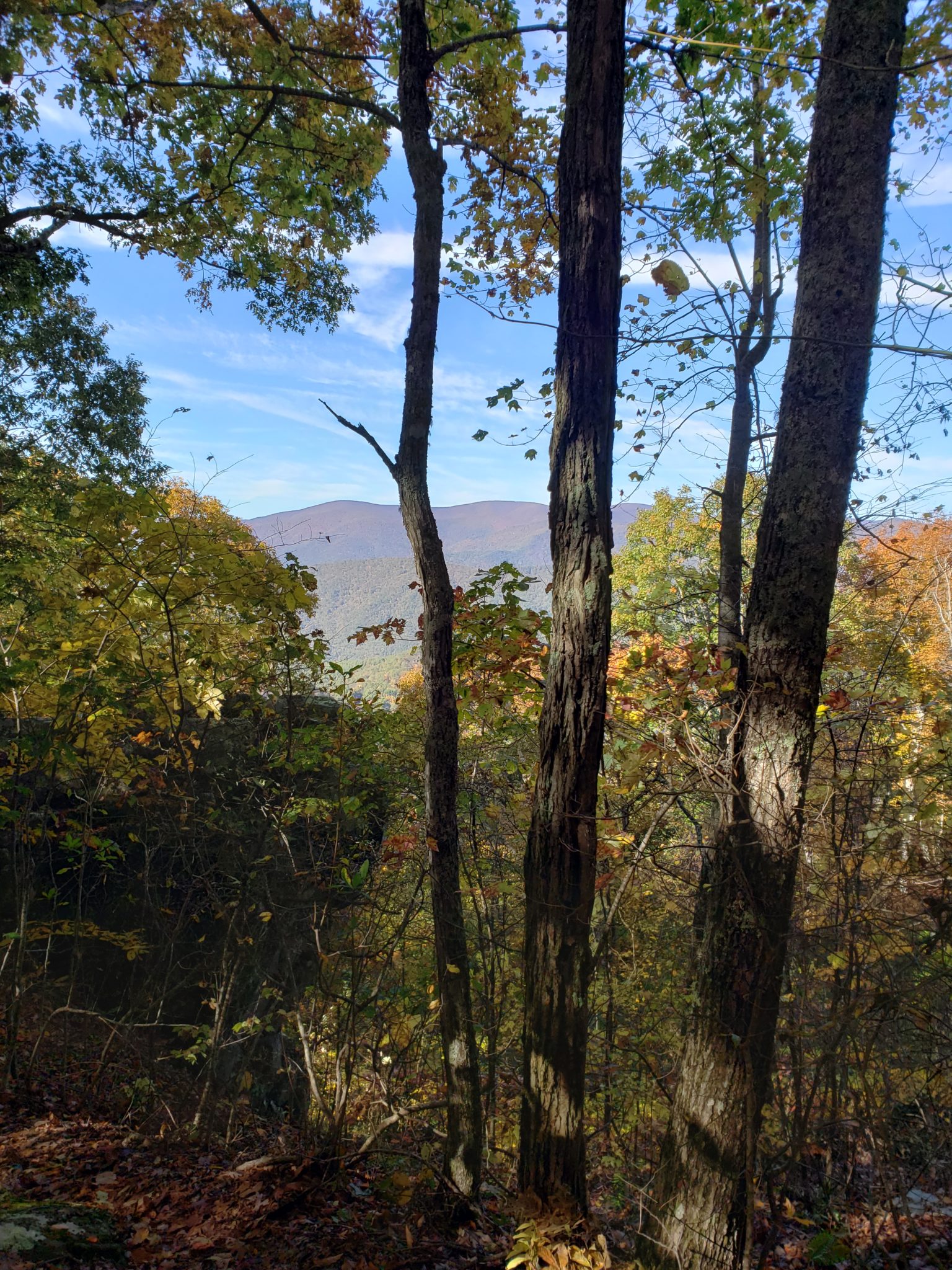 Discover the Trail - Benton MacKaye Trail Association