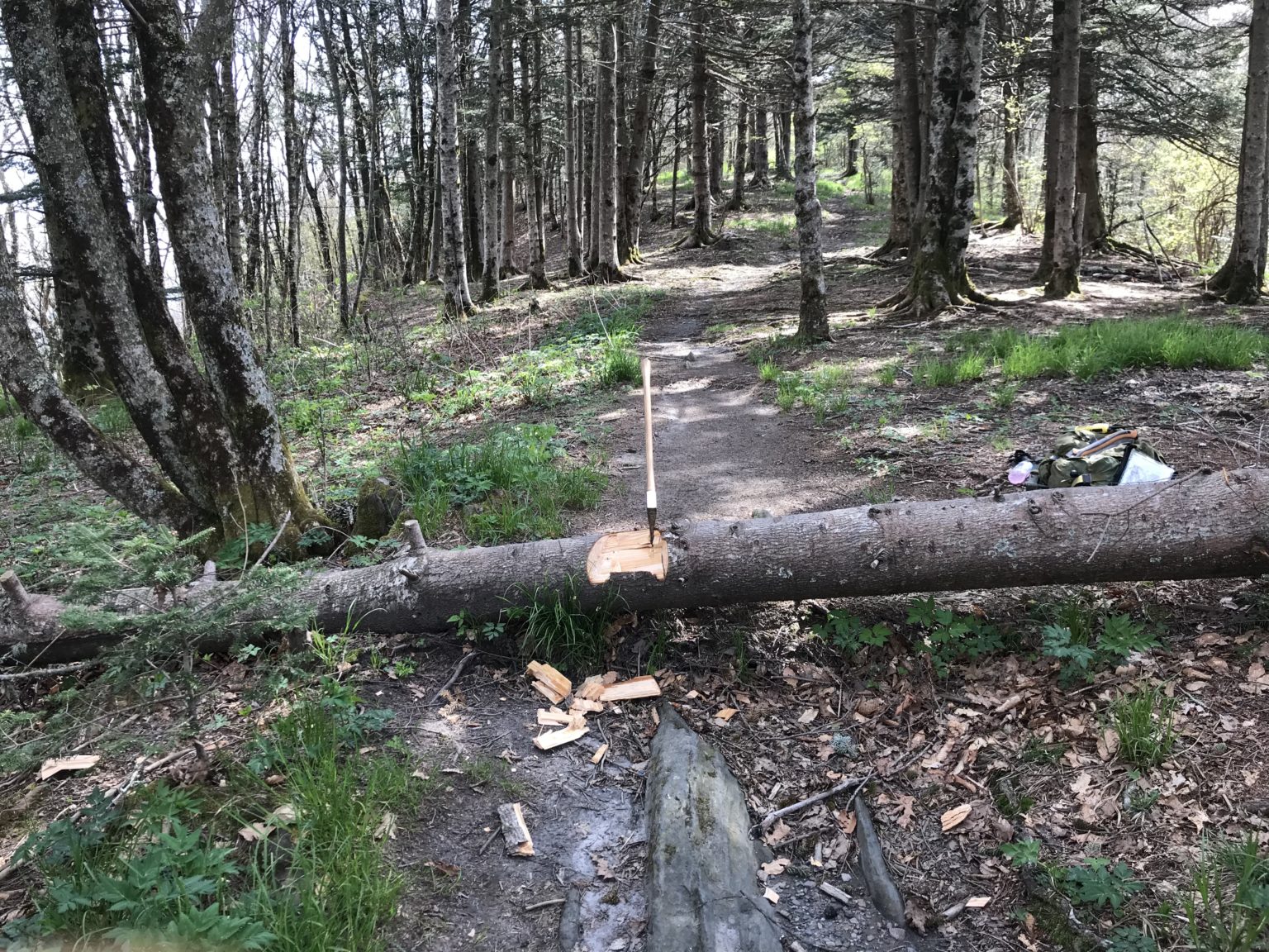 Trail Maintenance - Benton MacKaye Trail Association