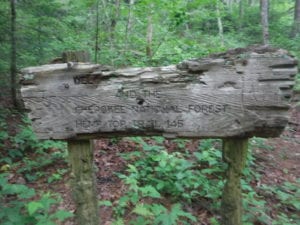 Discover the Trail - Benton MacKaye Trail Association